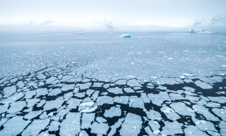 Extreme Temperature Diary- Friday March 7th, 2025/ Main Topic: Global ...