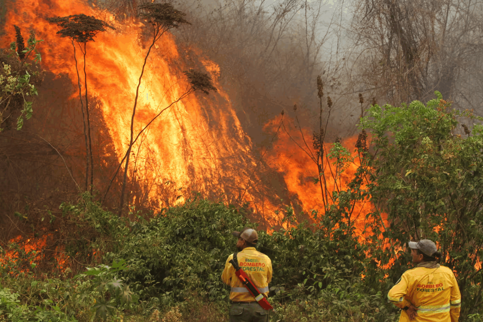 Extreme Temperature Diary- Sunday May 25th, 2025/Main Topic: ‘Global ...